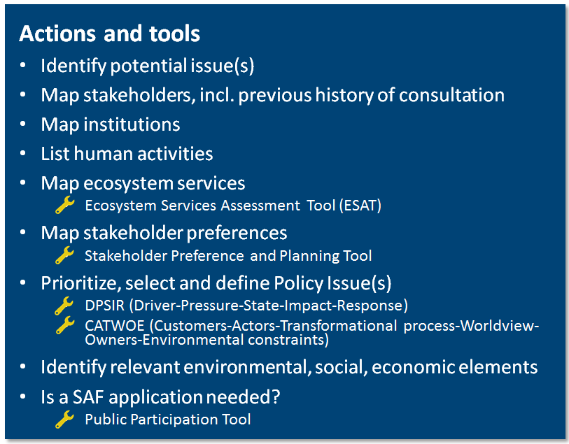 Issue identification - SAF Handbook